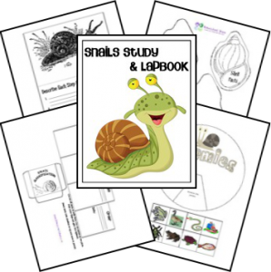 Snails Lapbook - Homeschool Share