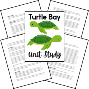 Free Sea Turtle Lapbook - Homeschool Share