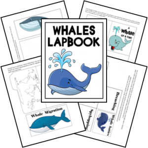 Free Dolphin Lapbook - Homeschool Share