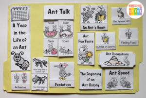 Free Ants Lapbook - Homeschool Share