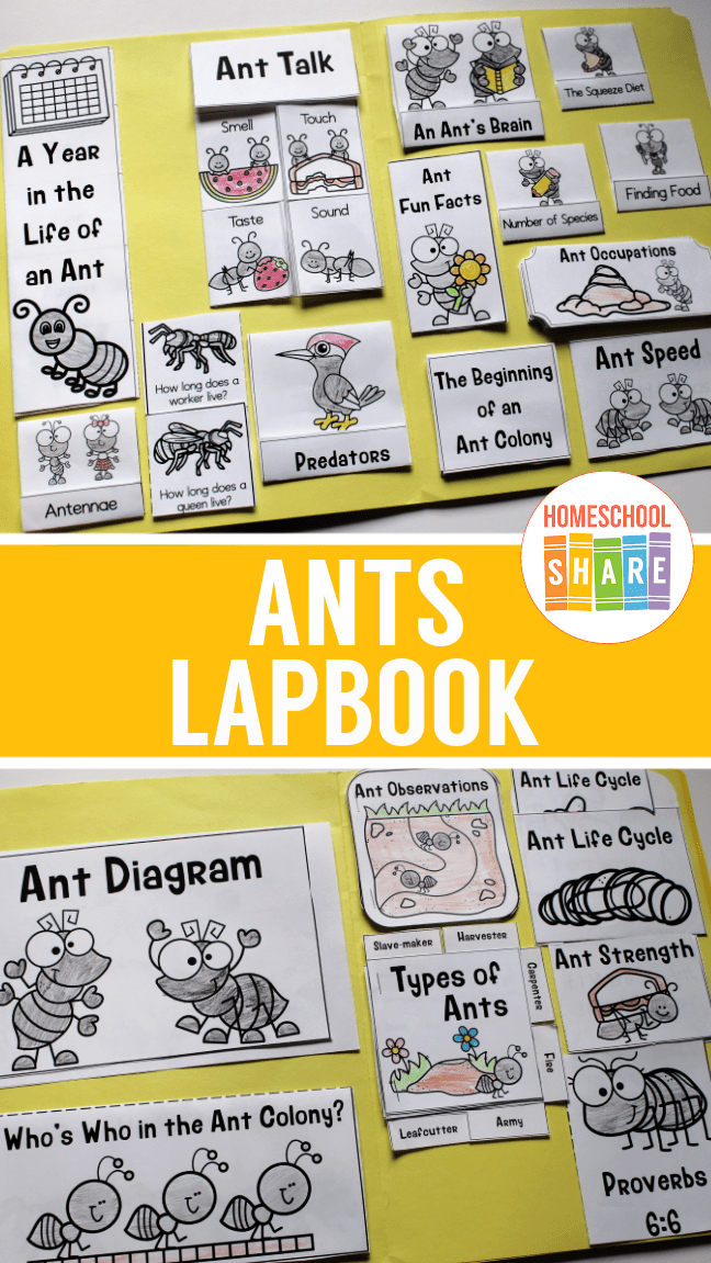 Free Ants Lapbook - Homeschool Share