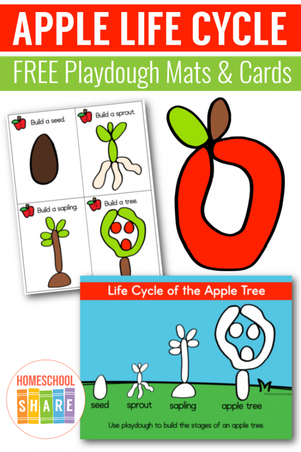 Free Apple Life Cycle Playdough Mats - Homeschool Share