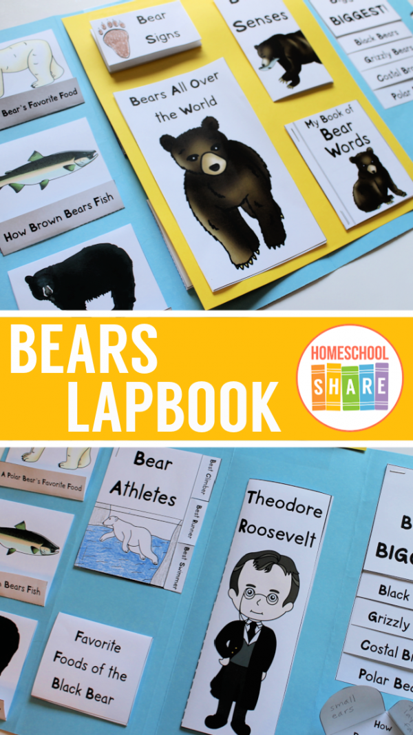 Bears Lapbook - Homeschool Share