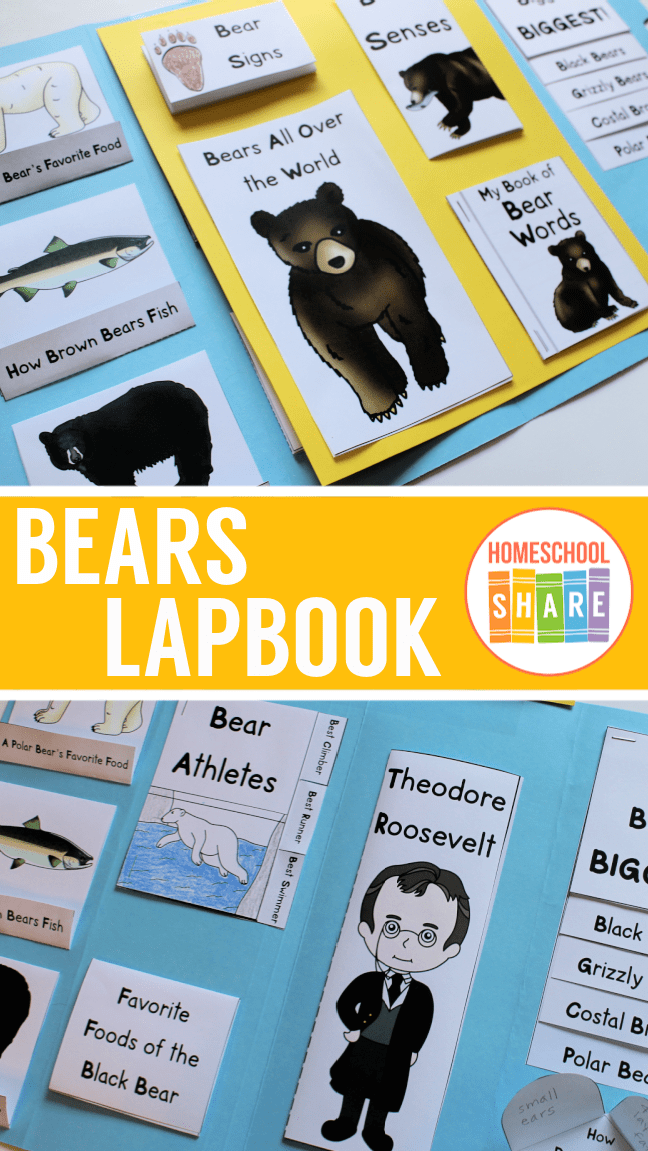 Bears Lapbook - Homeschool Share