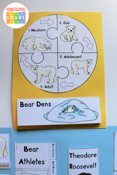 Bears Lapbook - Homeschool Share