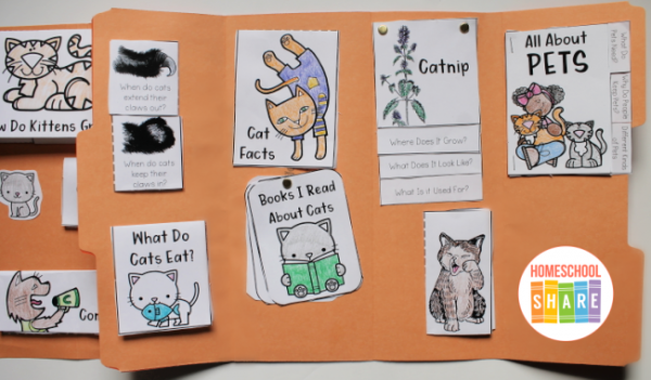 Free Cats Lapbook - Homeschool Share