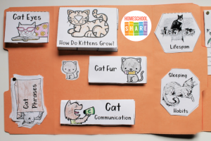 May Lapbook Ideas - Homeschool Share