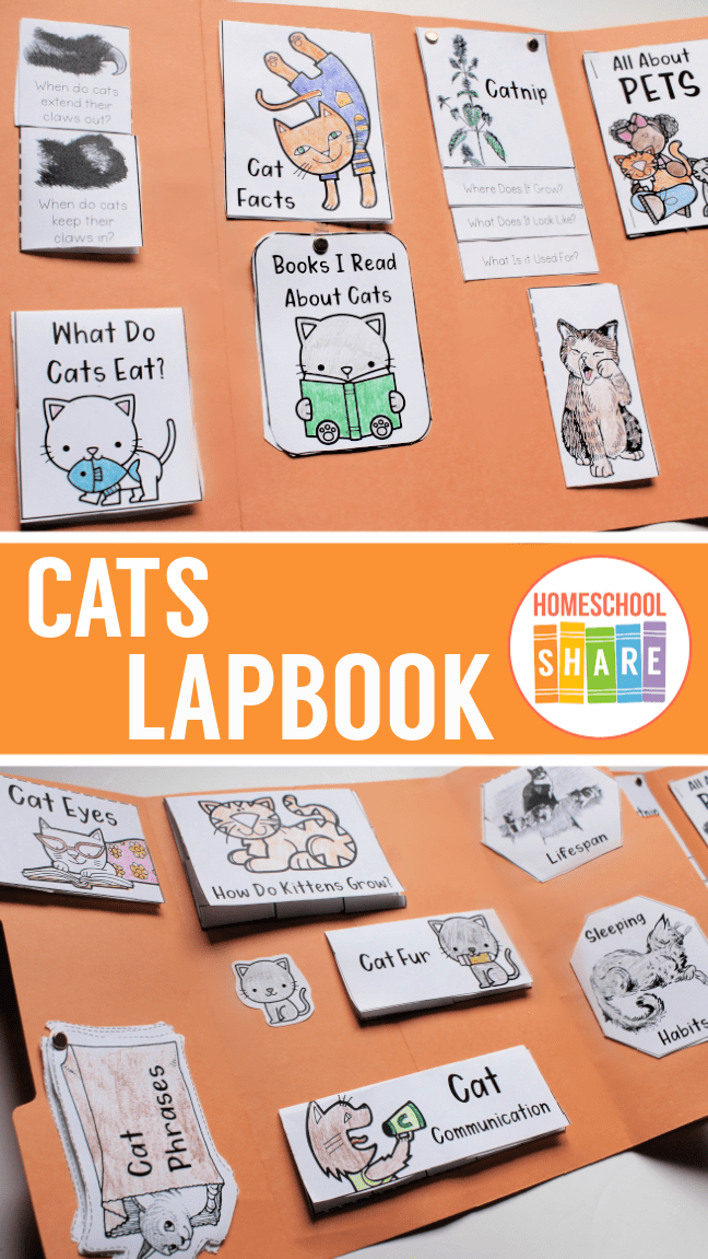 Free Cats Lapbook - Homeschool Share