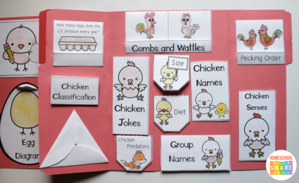 Free Chickens Lapbook - Homeschool Share