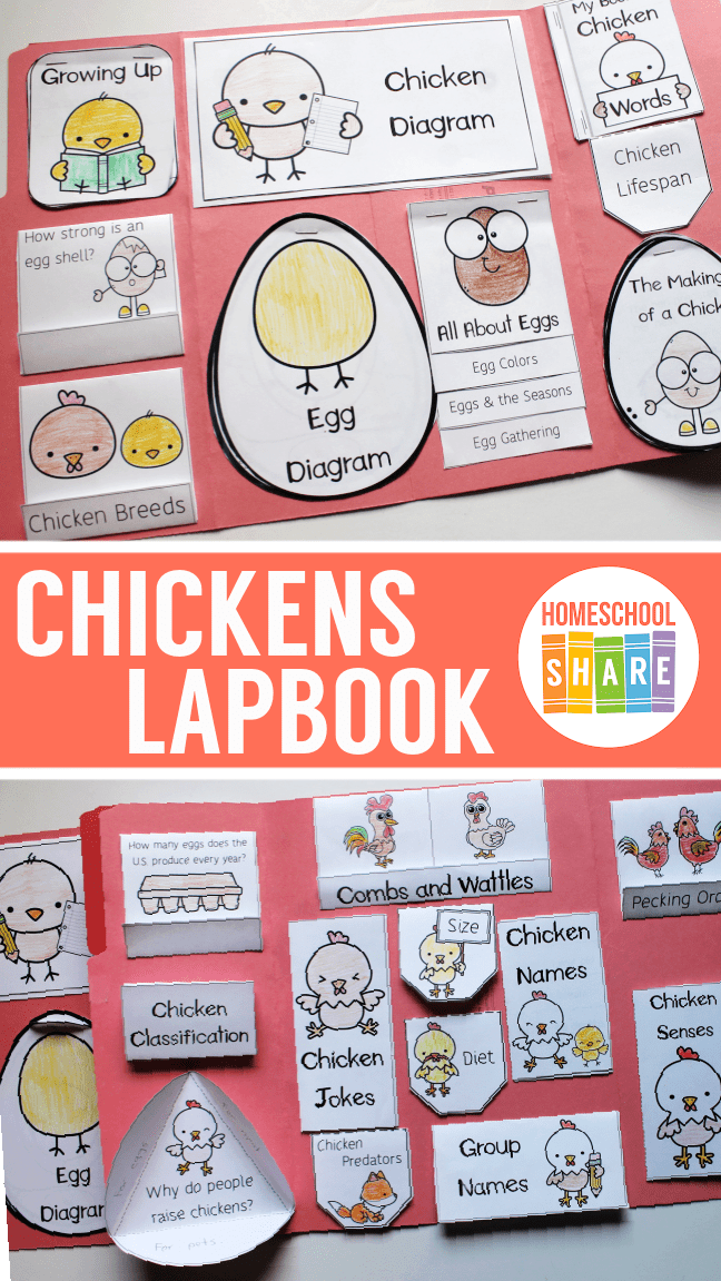Free Chickens Lapbook - Homeschool Share