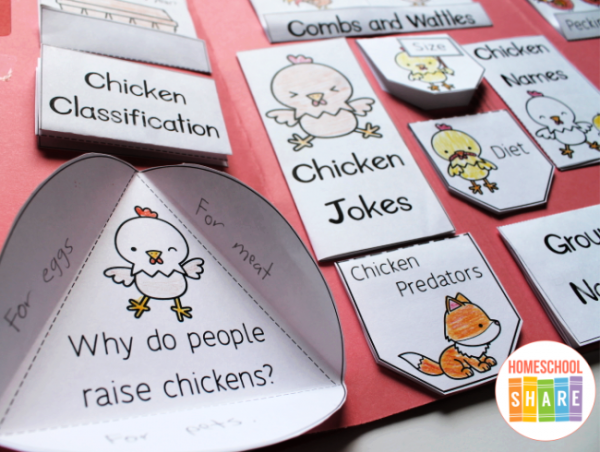 Free Chickens Lapbook - Homeschool Share