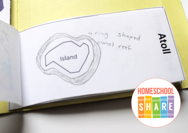 Free Coral Reef Lapbook - Homeschool Share