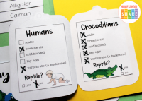 Free Crocodilian Lapbook - Homeschool Share