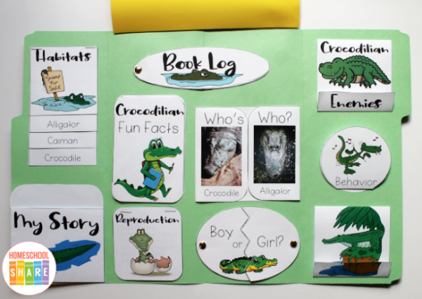 Animal Lapbooks - Homeschool Share