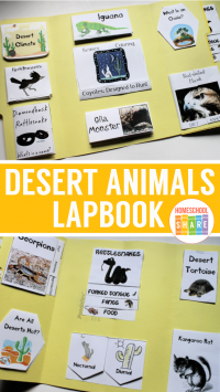 Desert Animals Lapbook - Homeschool Share