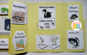 Desert Animals Lapbook - Homeschool Share