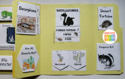 Desert Animals Lapbook - Homeschool Share