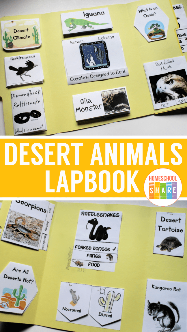 Desert Animals Lapbook - Homeschool Share