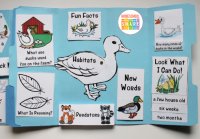 Animal Lapbooks - Homeschool Share