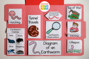 Free Earthworms Lapbook - Homeschool Share