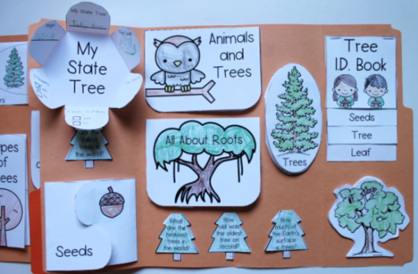 Free Trees Unit Study & Lapbook - Homeschool Share