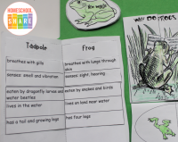 Frogs Lapbook - Homeschool Share
