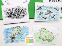 Frogs Lapbook - Homeschool Share