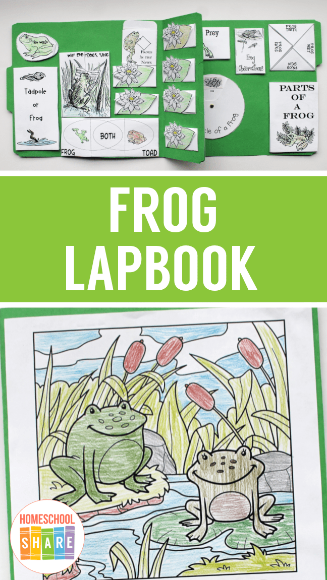 Frogs Lapbook - Homeschool Share