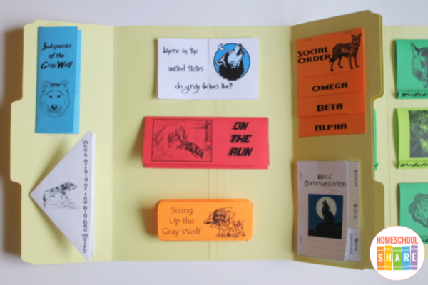 Gray Wolf Lapbook - Homeschool Share
