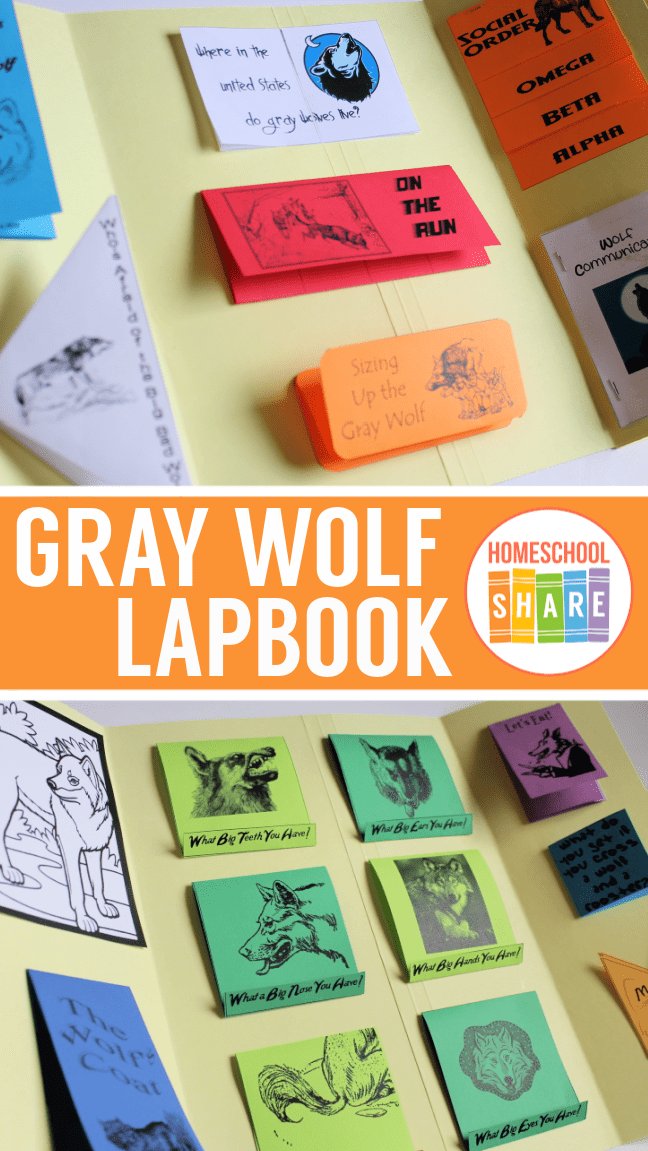 Gray Wolf Lapbook - Homeschool Share