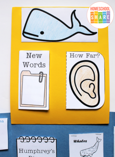 Humphrey the Lost Whale Activities & Lessons (Free!) - Homeschool Share