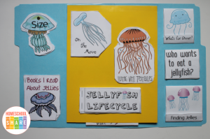 Jellyfish Worksheets - Homeschool Share