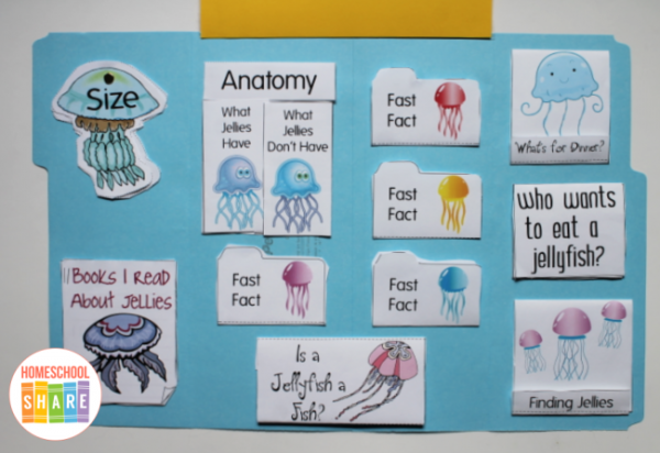 Jellyfish Lapbook - Homeschool Share