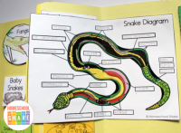 Snakes Lapbook - Homeschool Share