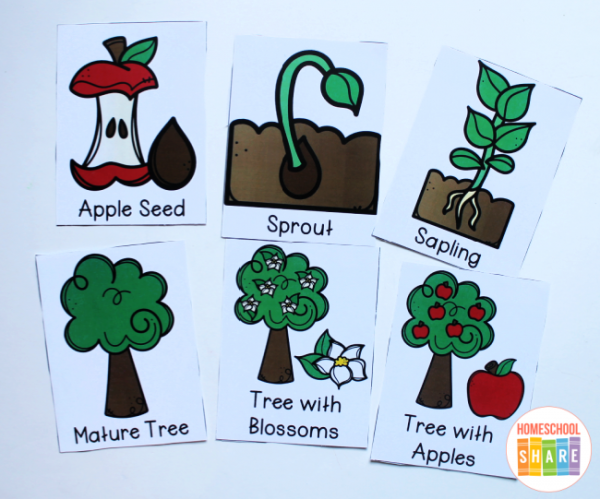 Free Johnny Appleseed Lapbook - Homeschool Share