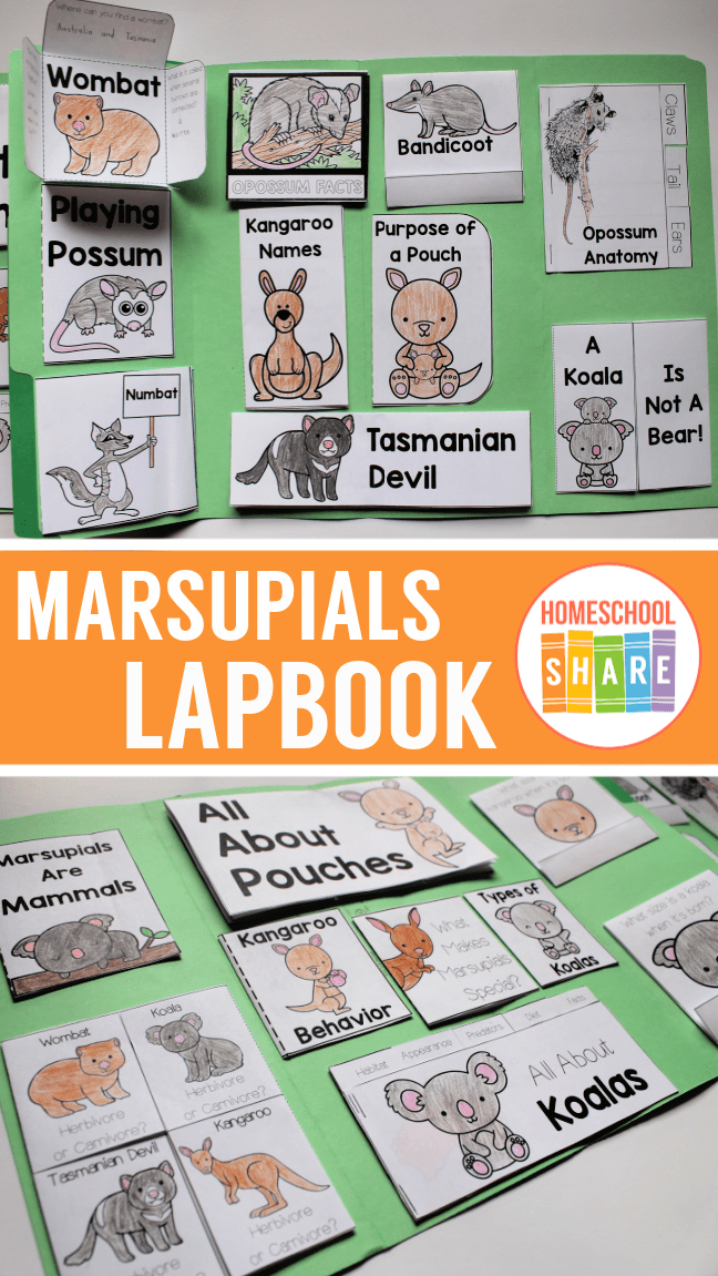 Marsupials Lapbook - Homeschool Share