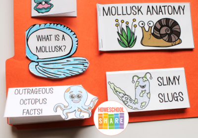 Mollusks Lapbook - Homeschool Share