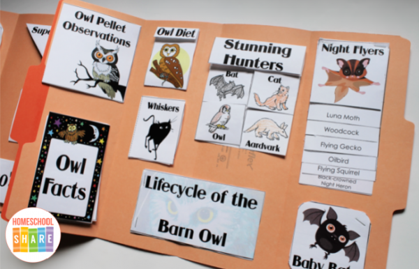 Animal Lapbooks - Homeschool Share