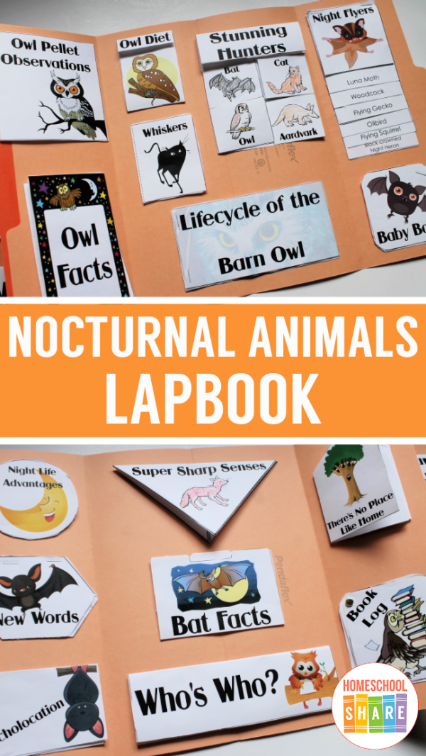 Nocturnal Animals Lapbook - Homeschool Share