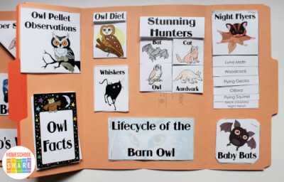 Nocturnal Animals Lapbook - Homeschool Share