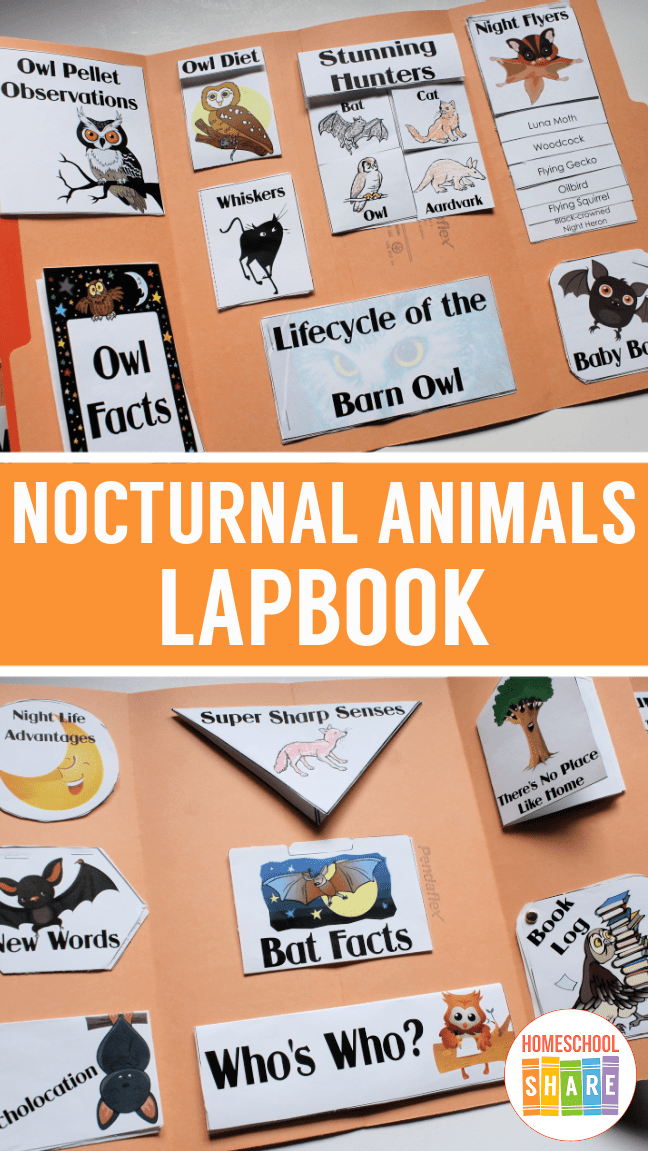 Nocturnal Animals Lapbook - Homeschool Share