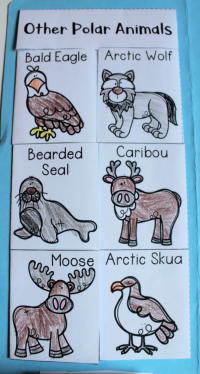 Polar Animals Lapbook - Homeschool Share