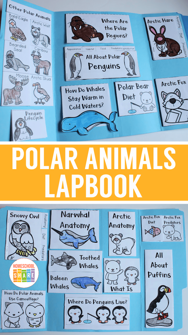 Polar Animals Lapbook - Homeschool Share
