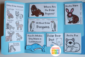 Animal Lapbooks - Homeschool Share