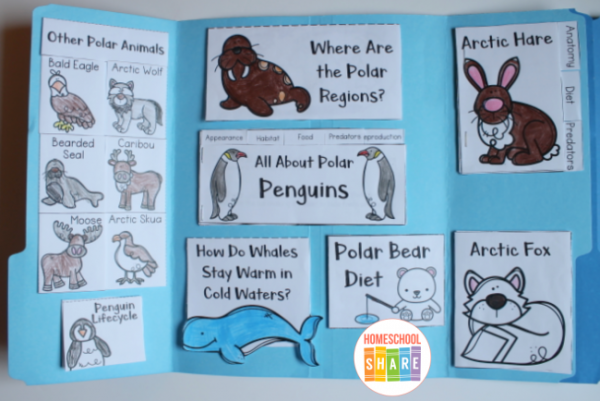 Polar Animals Lapbook - Homeschool Share