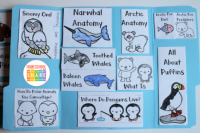 Polar Animals Lapbook - Homeschool Share