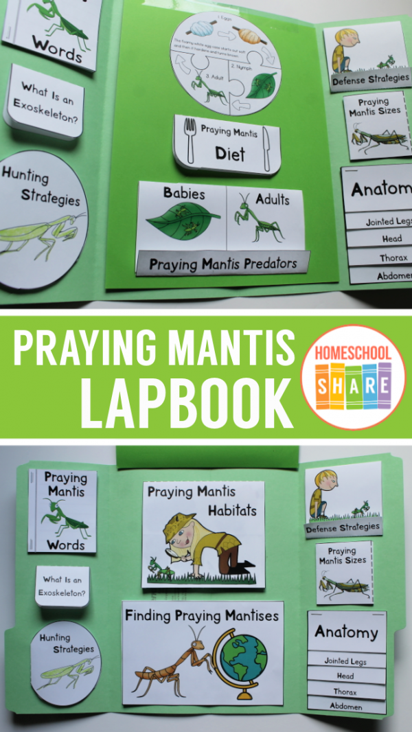 Praying Mantis Lapbook - Homeschool Share