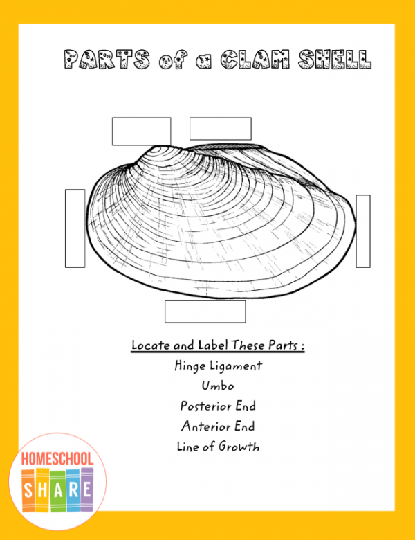 Free Pagoo Notebook - Homeschool Share