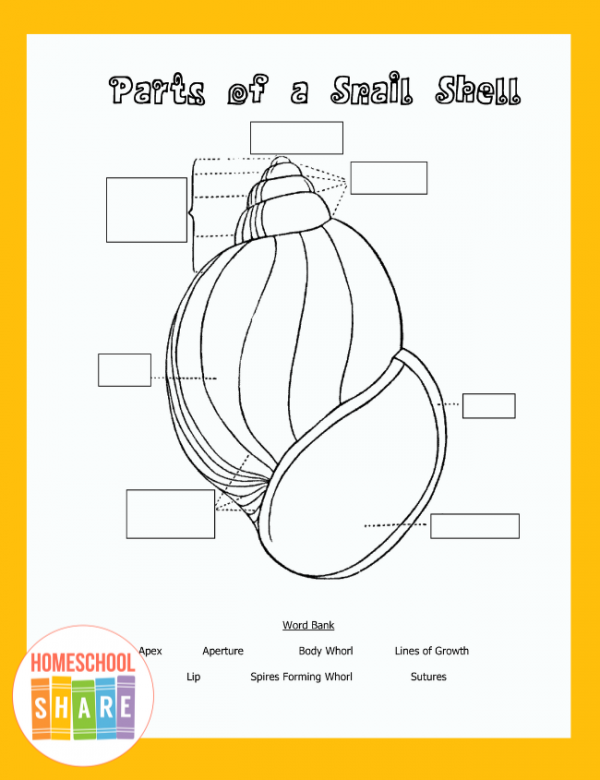 Free Pagoo Notebook - Homeschool Share