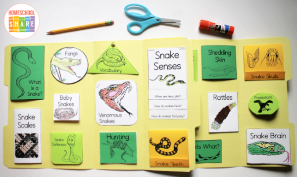 Snakes Lapbook - Homeschool Share